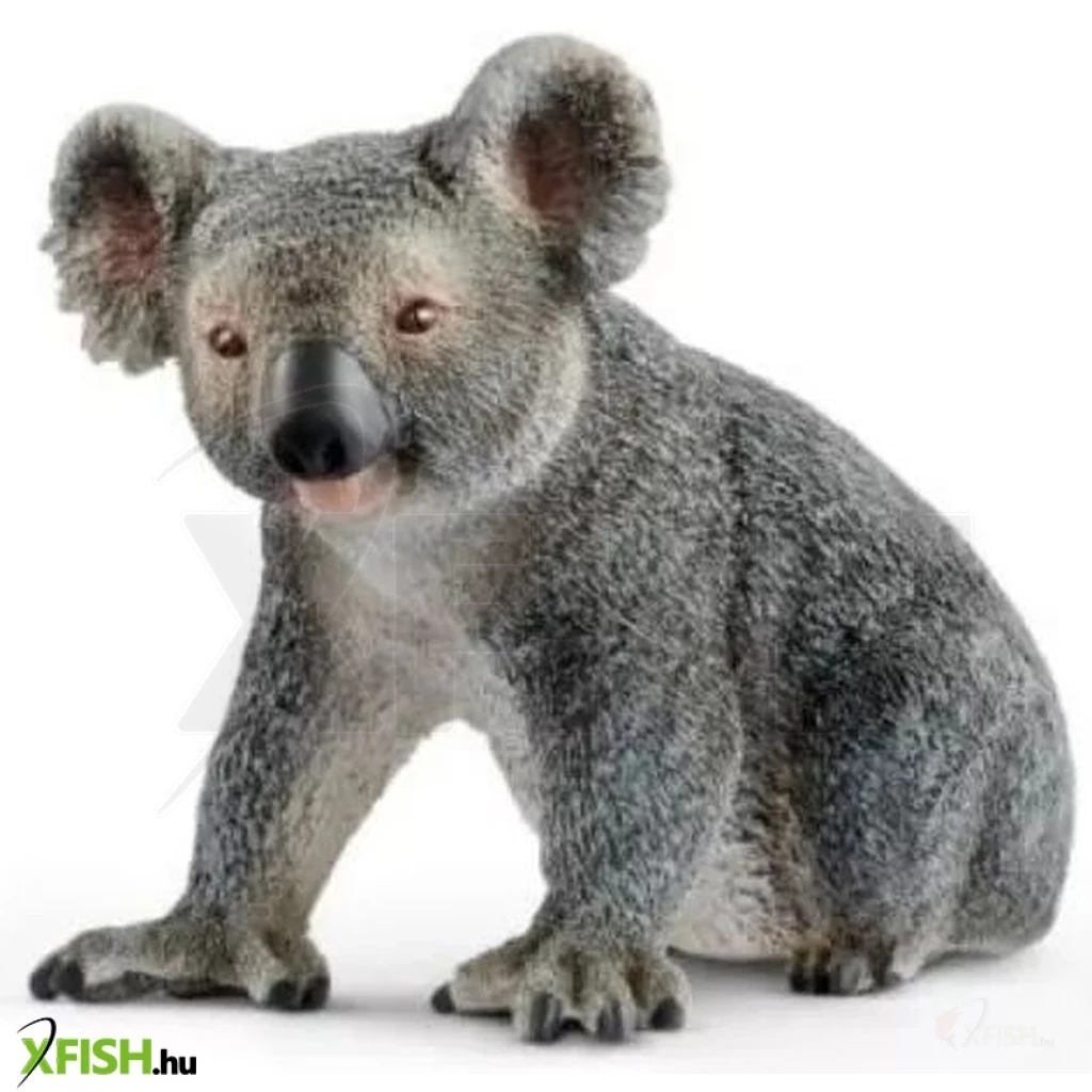 Schleich: Koala figura 14815 | Játékfigura | Schleich figura